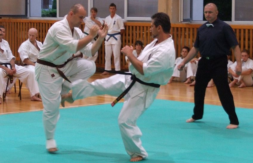 Andrzej Poczwardowski Go-ju kumite – TORUŃSKI KLUB KARATE KYOKUSHIN